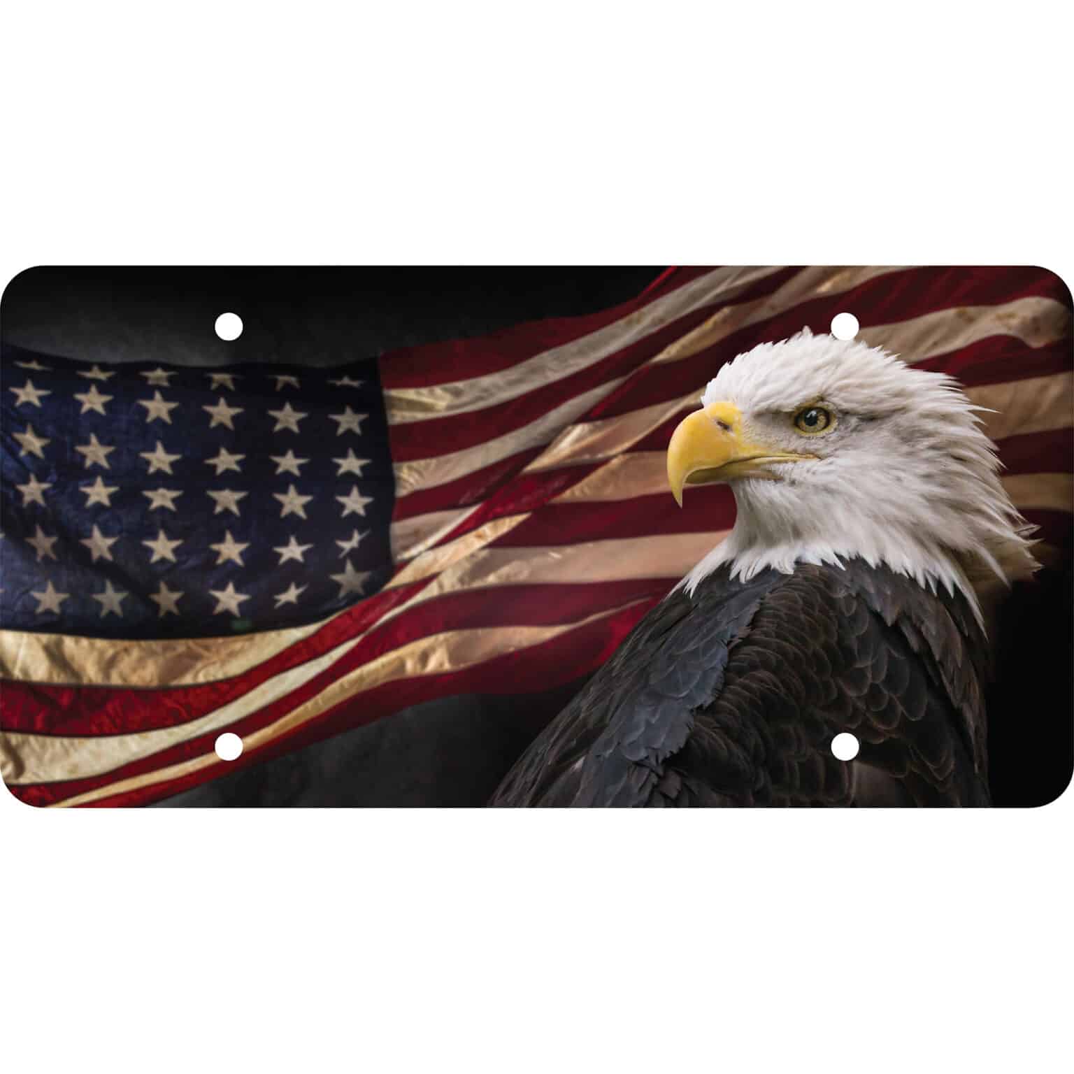 Novelty License Plates | Cruiser Accessories